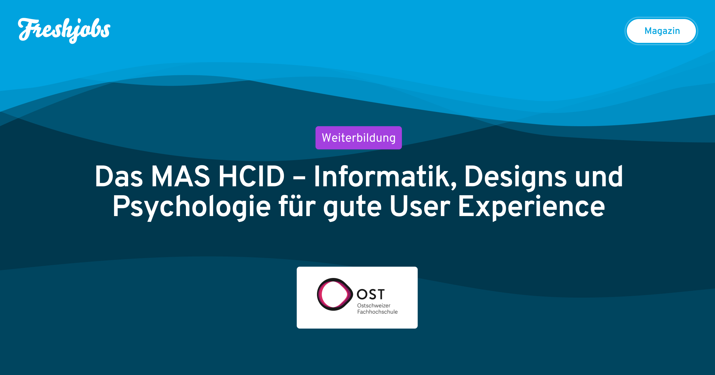 Das MAS HCID - Informatik, Designs und Psychologie für gute User ...
