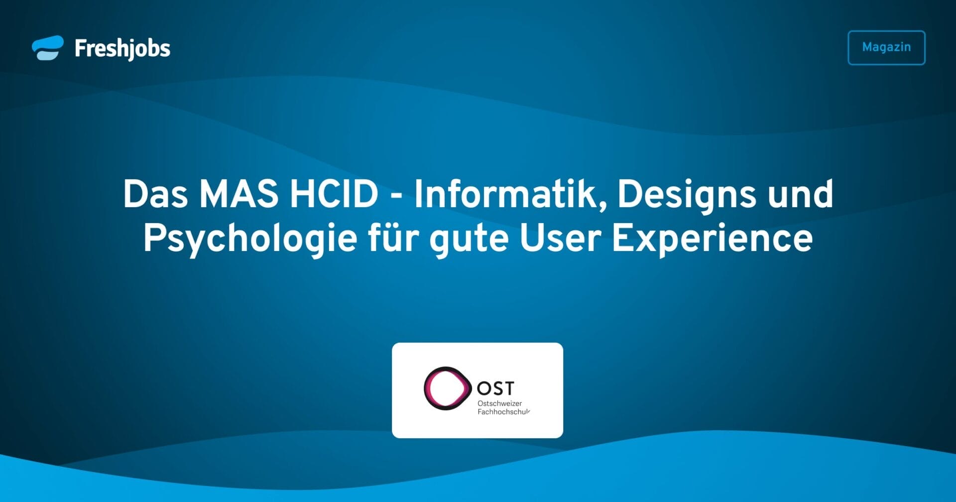 Das MAS HCID - Informatik, Designs und Psychologie für gute User ...